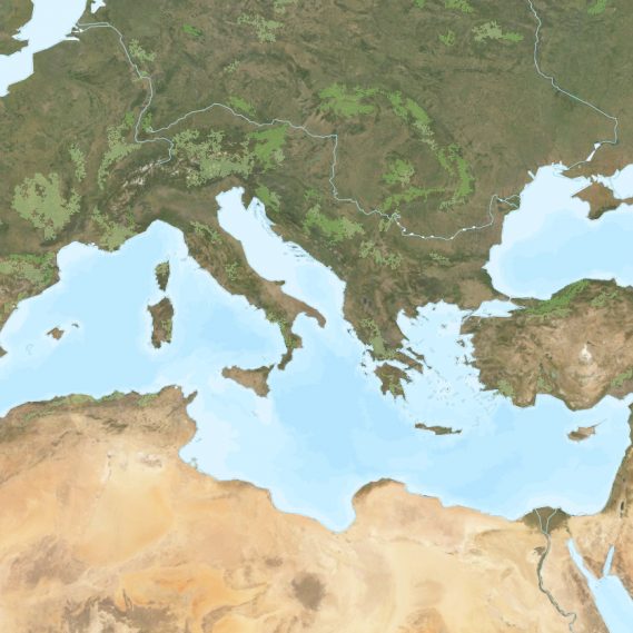 ArchaeoCosmos – Historical Geography of the Mediterranean and the Near East